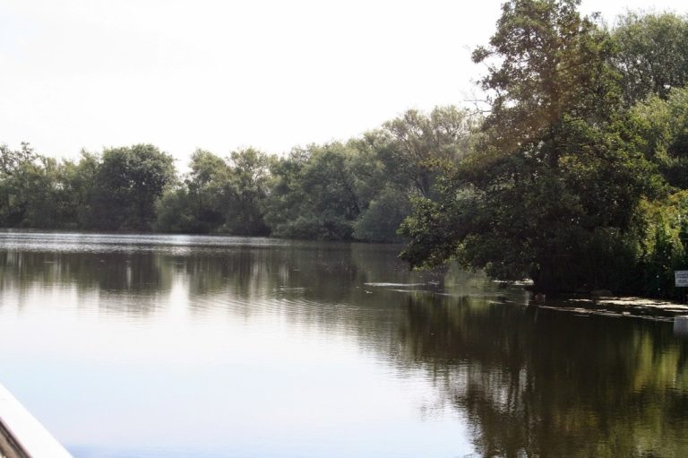 River Wissey – The London Anglers Association